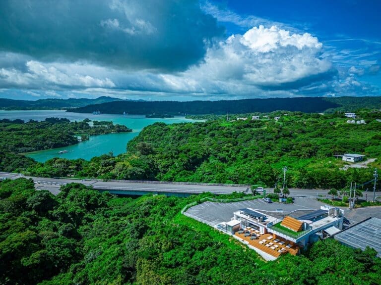 2025沖繩北部新開幕景點：DRIVE IN RIKARIKA-WARUMI｜包車導遊推薦行程 - 去日本包車